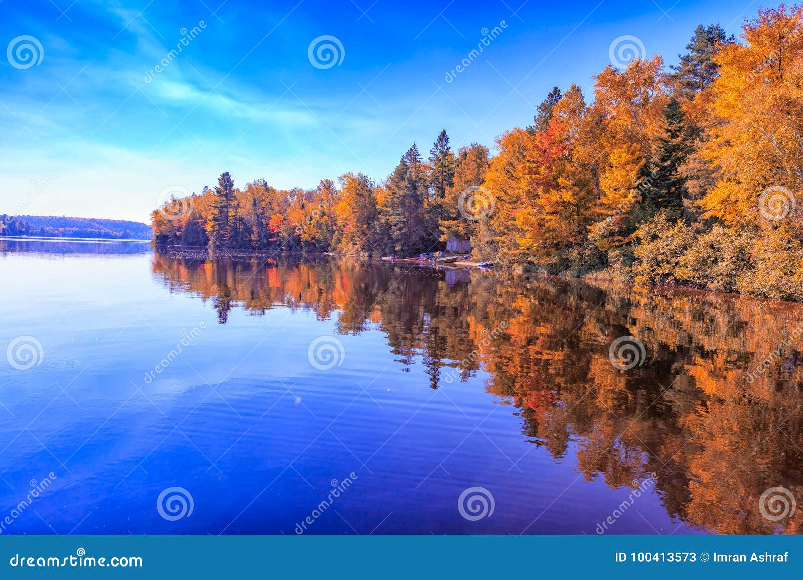 Fall trees with lake stock image. Image of larch, golden - 100413573