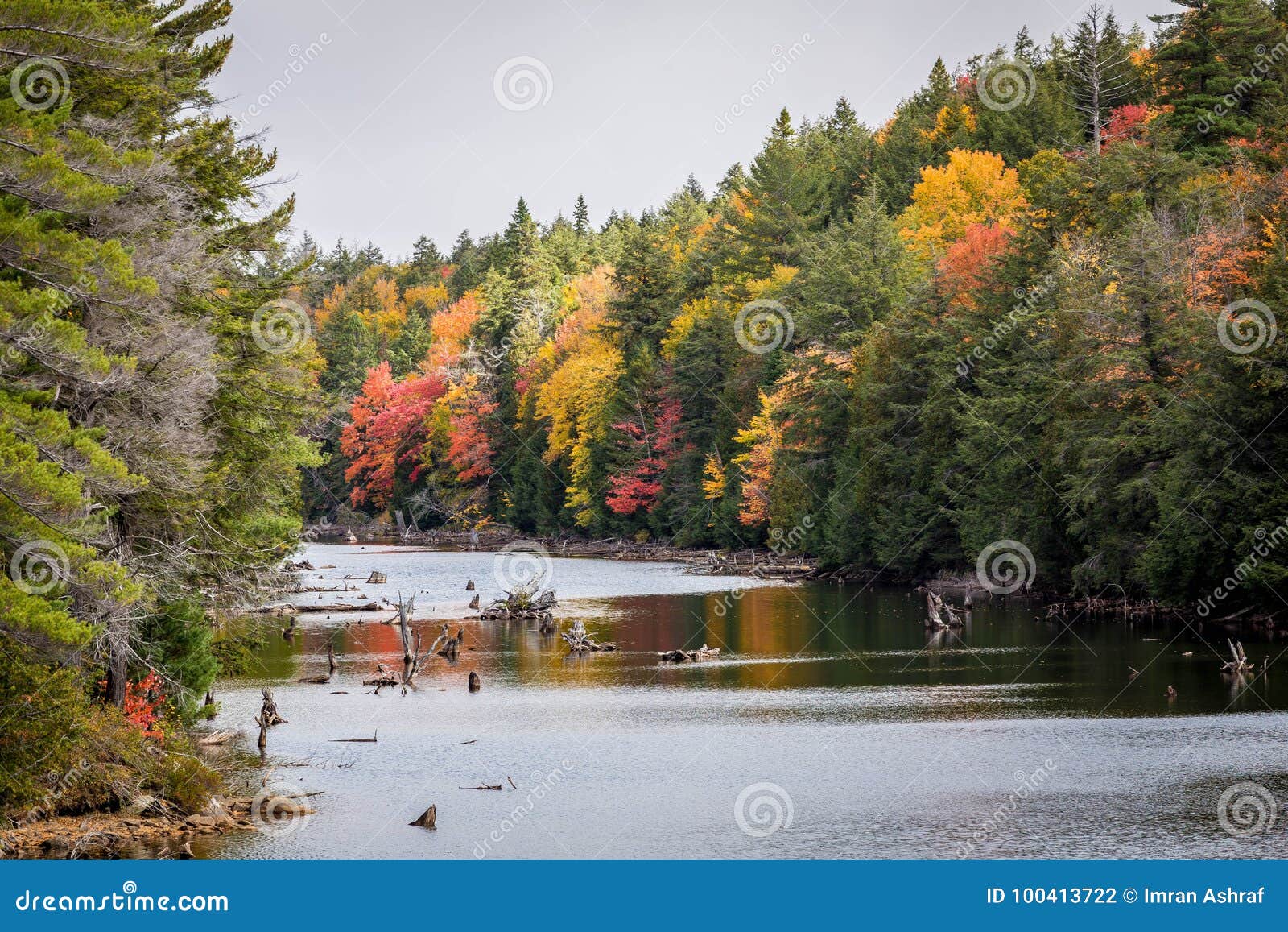 Fall trees with lake stock photo. Image of asphalt, highway - 100413722