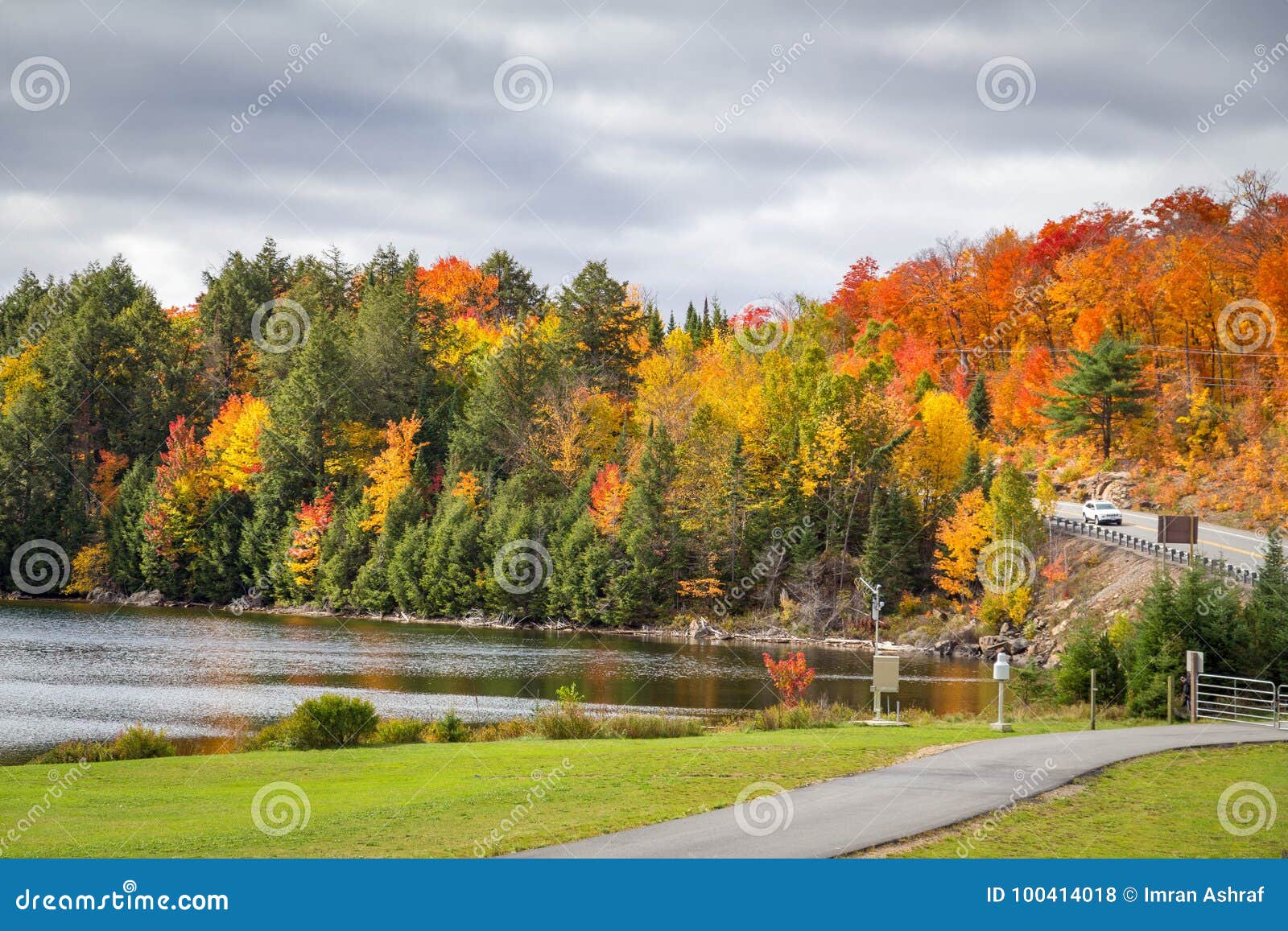 Fall trees with lake stock photo. Image of maple, outdoor - 100414018