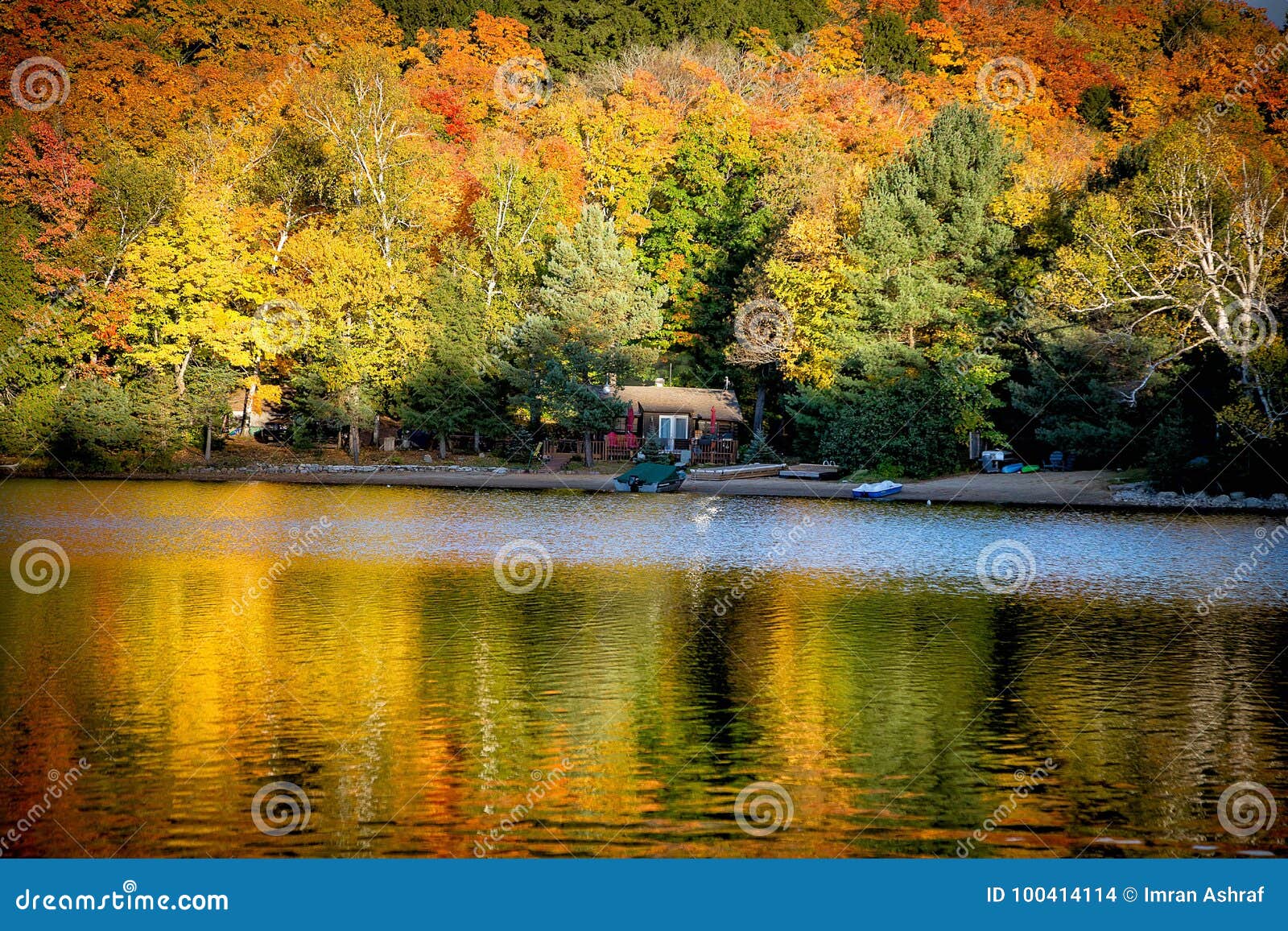 Fall trees with lake stock photo. Image of forest, color - 100414114