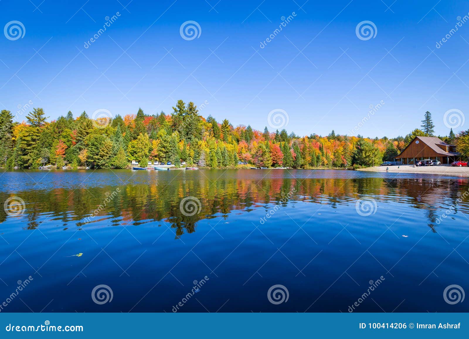 Fall trees with lake stock photo. Image of beauty, blue - 100414206