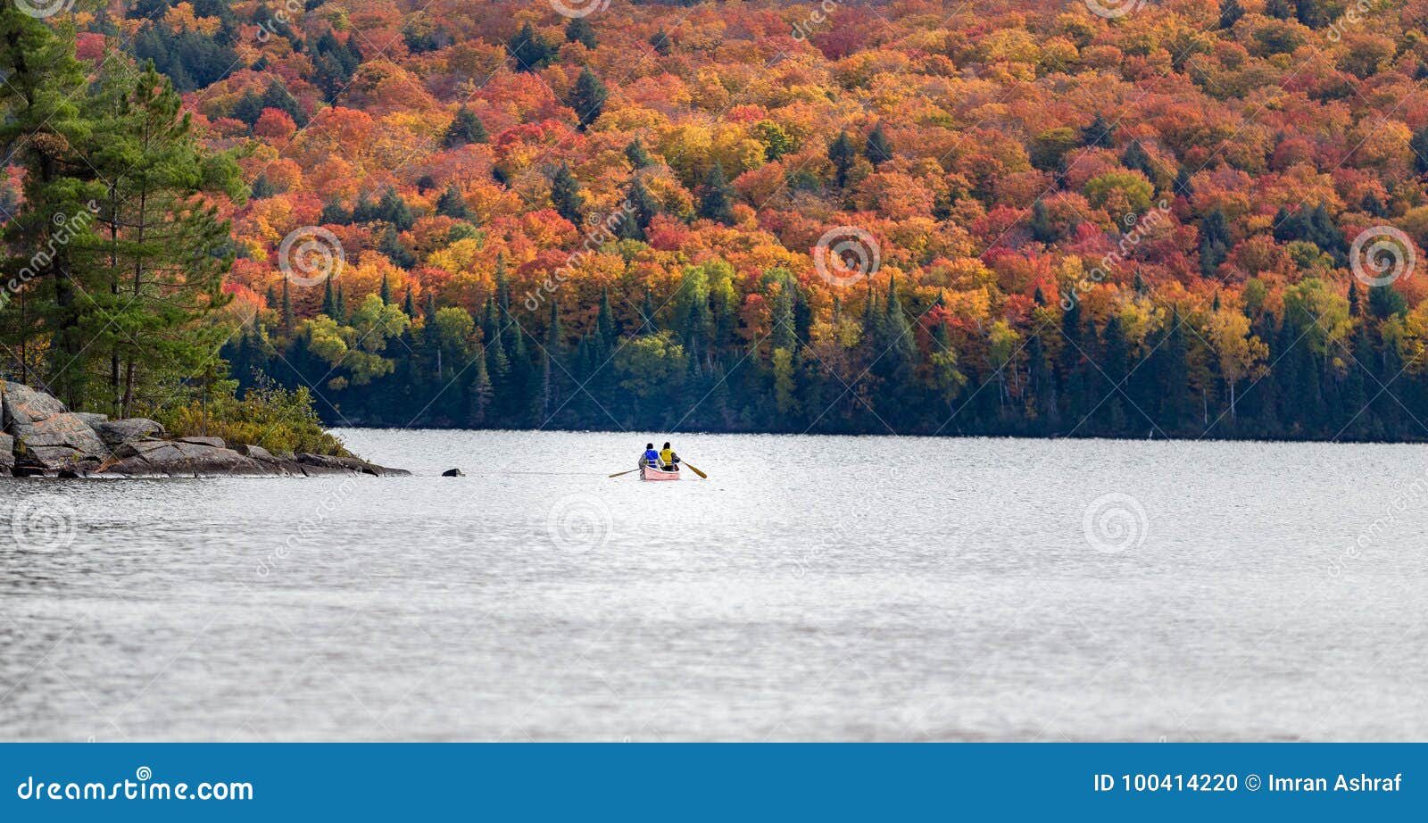 Fall trees with lake stock photo. Image of color, golden - 100414220