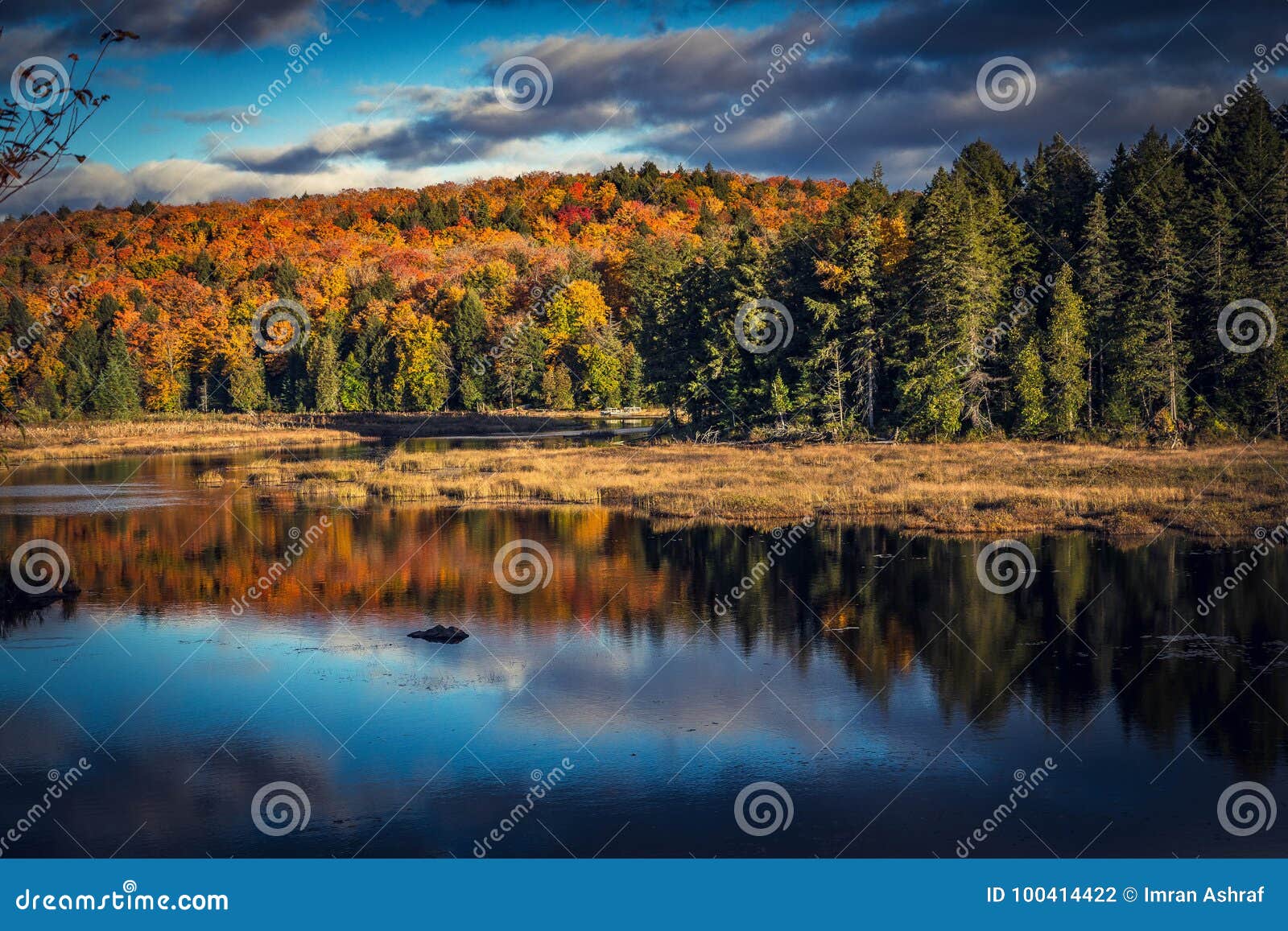 Fall trees with lake stock photo. Image of natural, colorful - 100414422