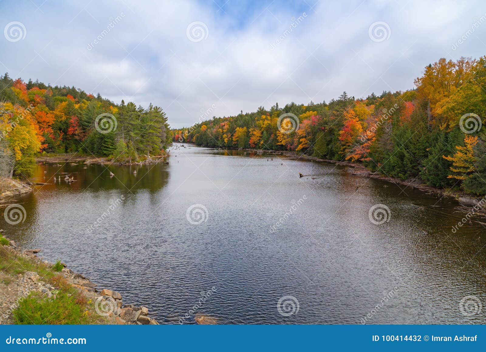 Fall trees with lake stock photo. Image of colorful - 100414432