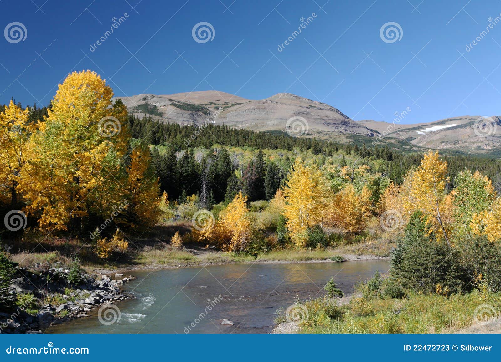Fall Trees Line a Mountain River, Glacier N P Stock Image - Image of ...