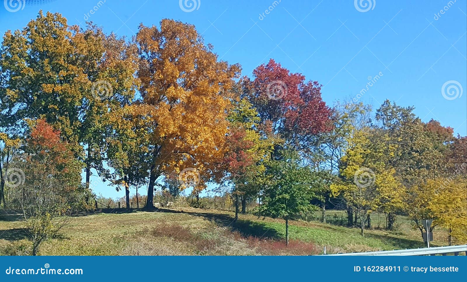Fall trees in missouri stock image. Image of cityy, missouri - 162284911