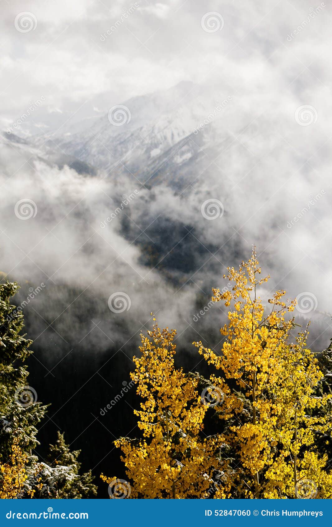 Fall Trees on a Mountain Top Stock Photo - Image of peak, winter: 52847060