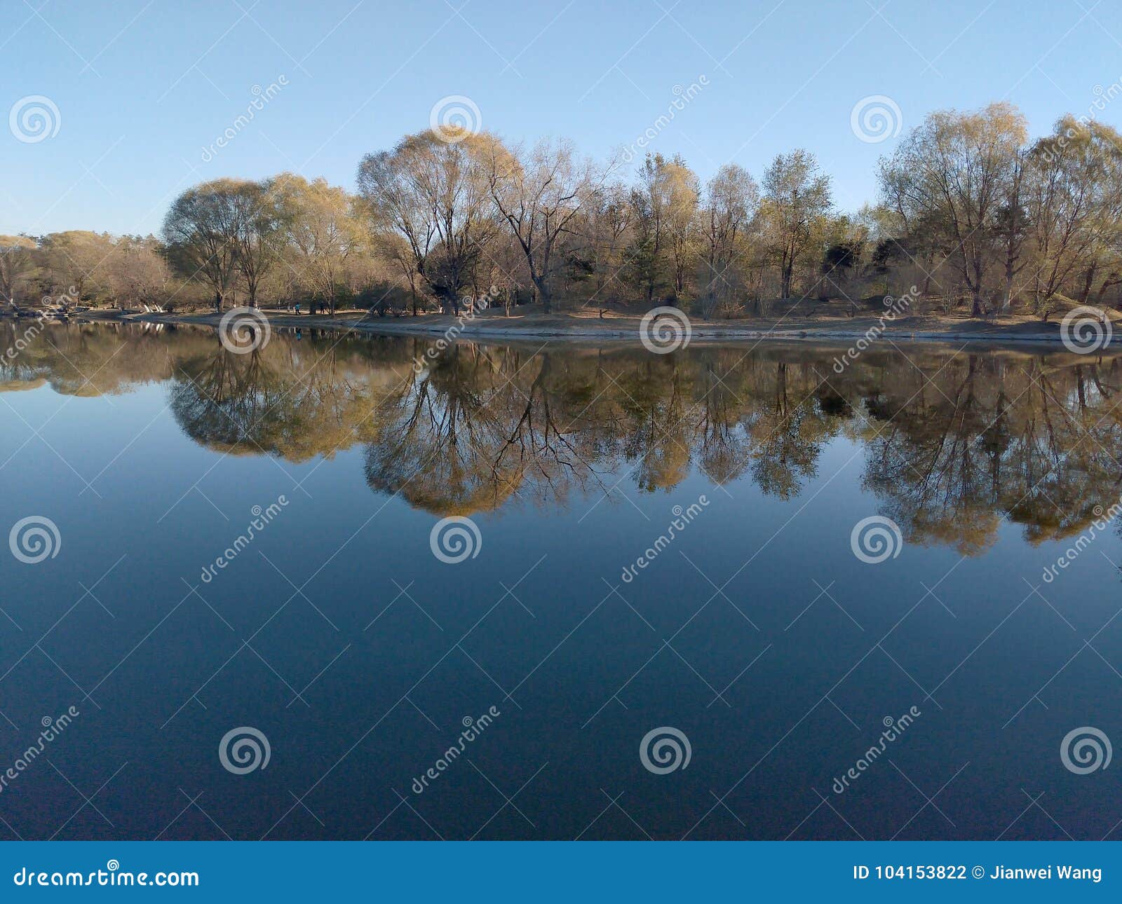 Fall Trees Reflection in Lake Stock Photo - Image of brown, growth ...