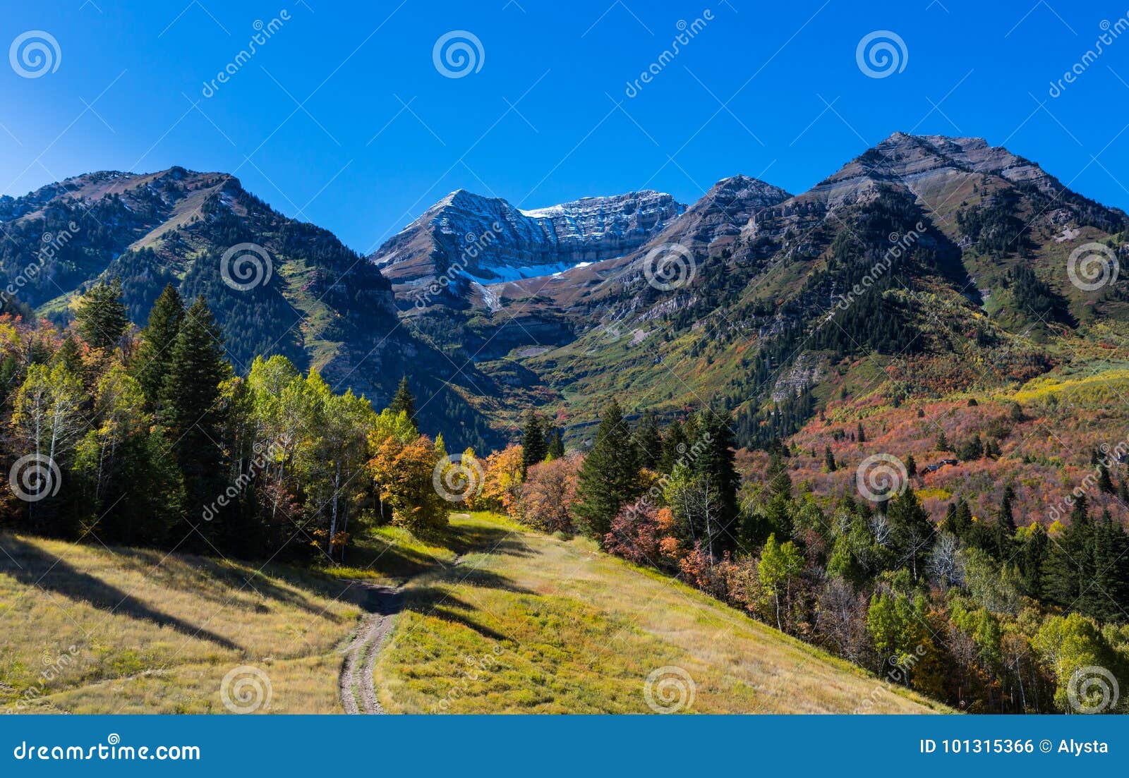 Fall Trees in Northern Utah Mountains Stock Photo - Image of colorful ...