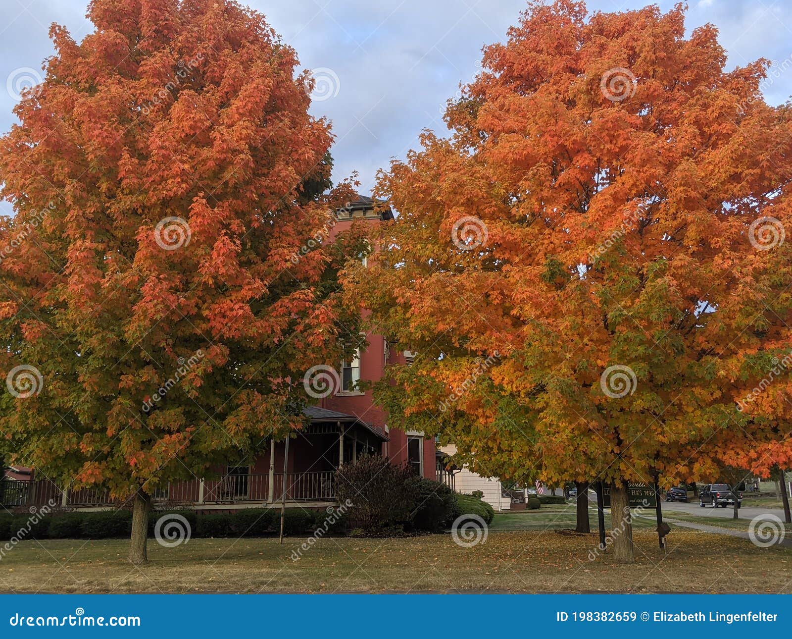 Fall trees, pretty leaves stock image. Image of forest - 198382659