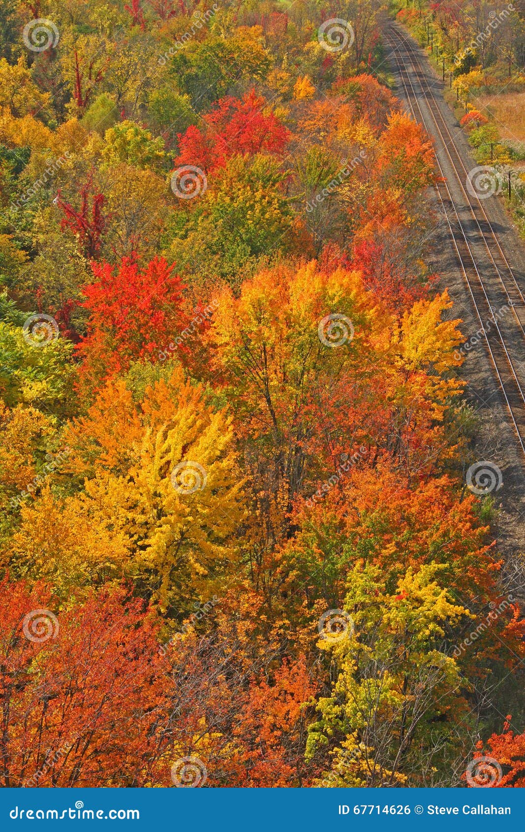 Fall Trees and Railroad Tracks Stock Photo - Image of locomotive ...