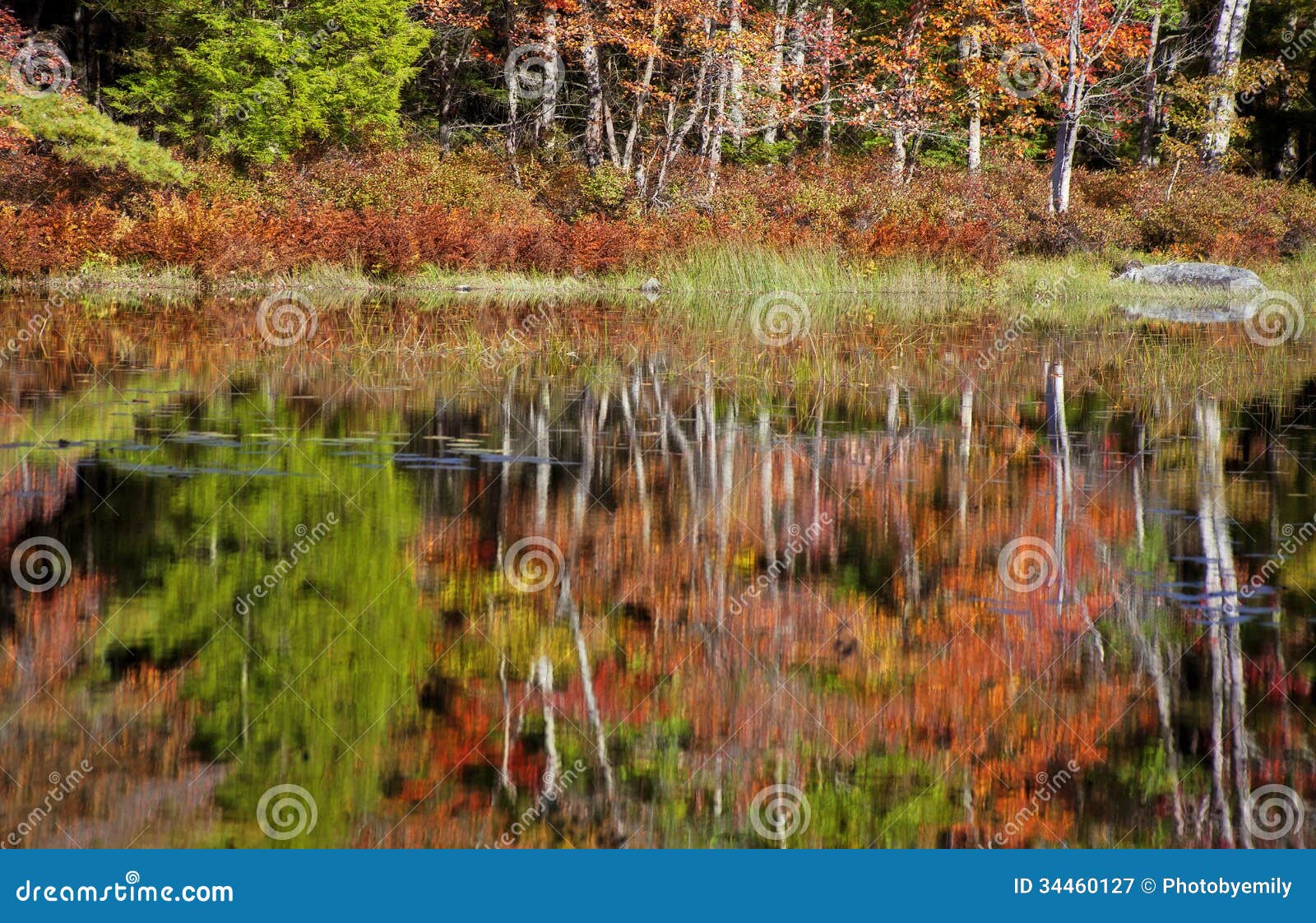 Fall Trees Reflected in Water Stock Image - Image of maple, orange ...