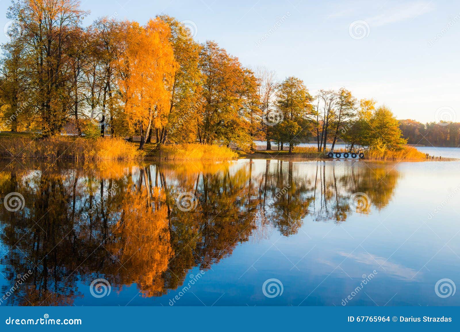 Fall Trees Reflection in Water Stock Photo - Image of foliage, natural ... Fall Trees Reflection in Water Stock Photo - Image of foliage, natural ...