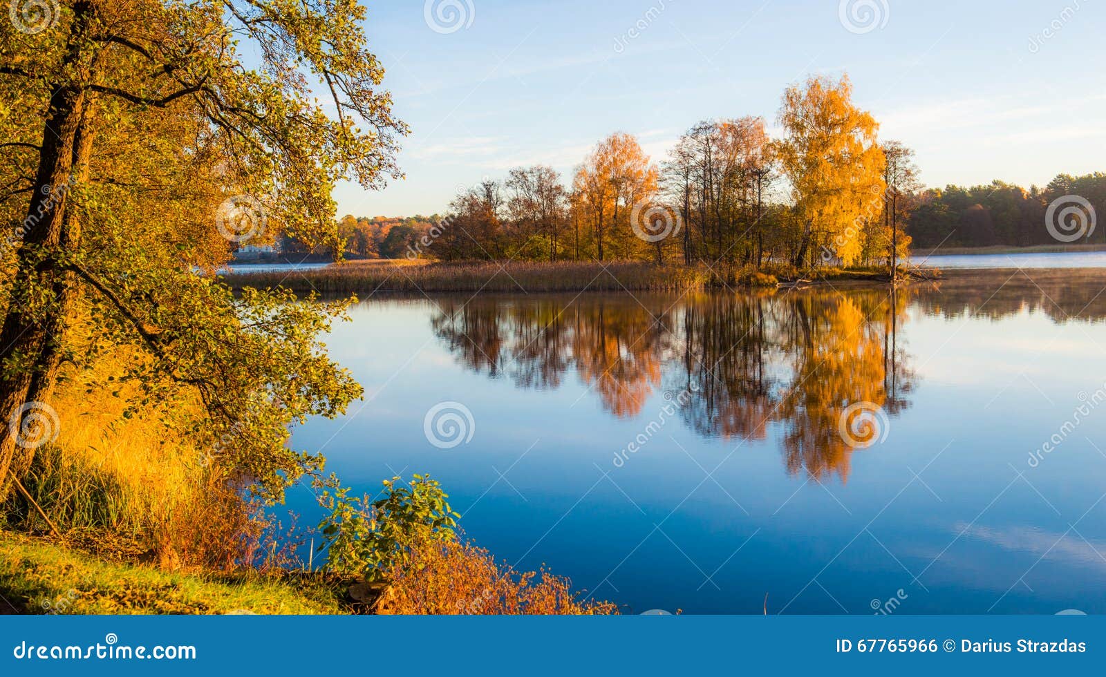 Fall Trees Reflection in Water Stock Photo - Image of orange, golden ...
