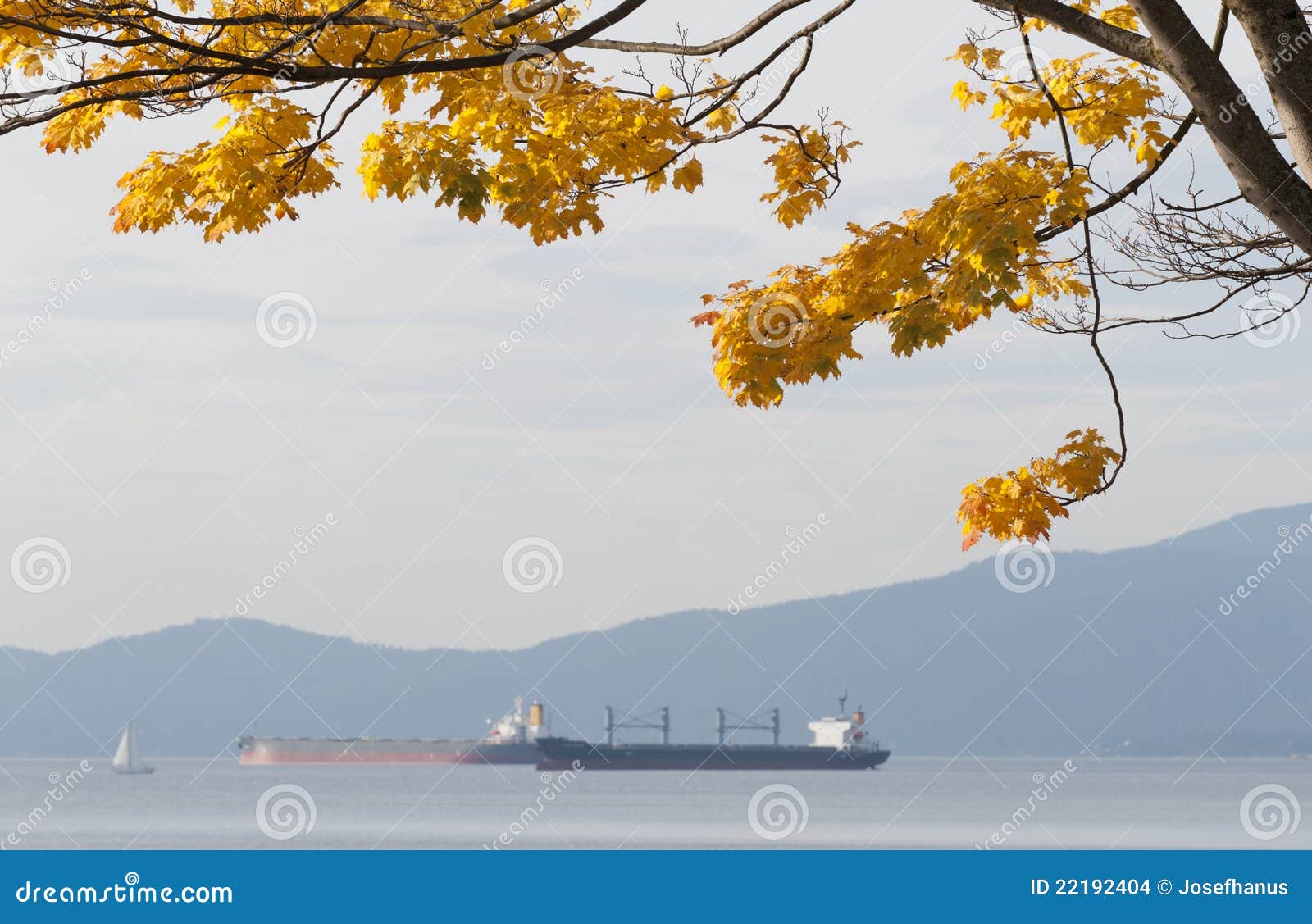 Fall trees by the sea stock photo. Image of tree, yellow - 22192404