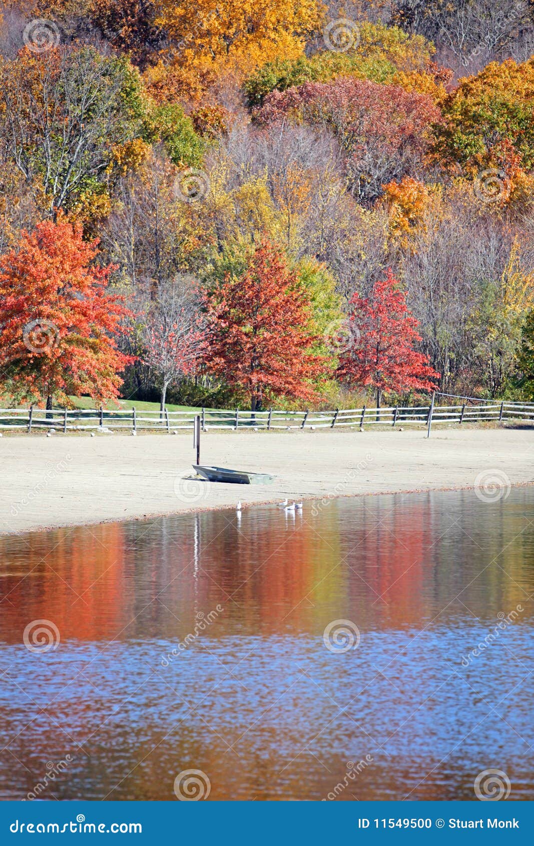 Fall trees by water stock photo. Image of reflecting - 11549500