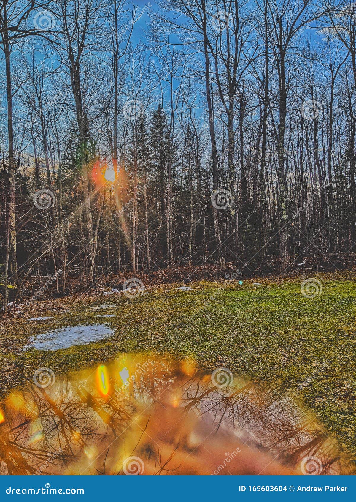 Fall Turning into Winter Day Sunset Stock Photo - Image of sunset, fall ...