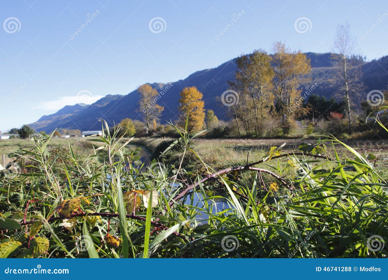Fall Valley stock photo. Image of source, fresh, long - 46741288