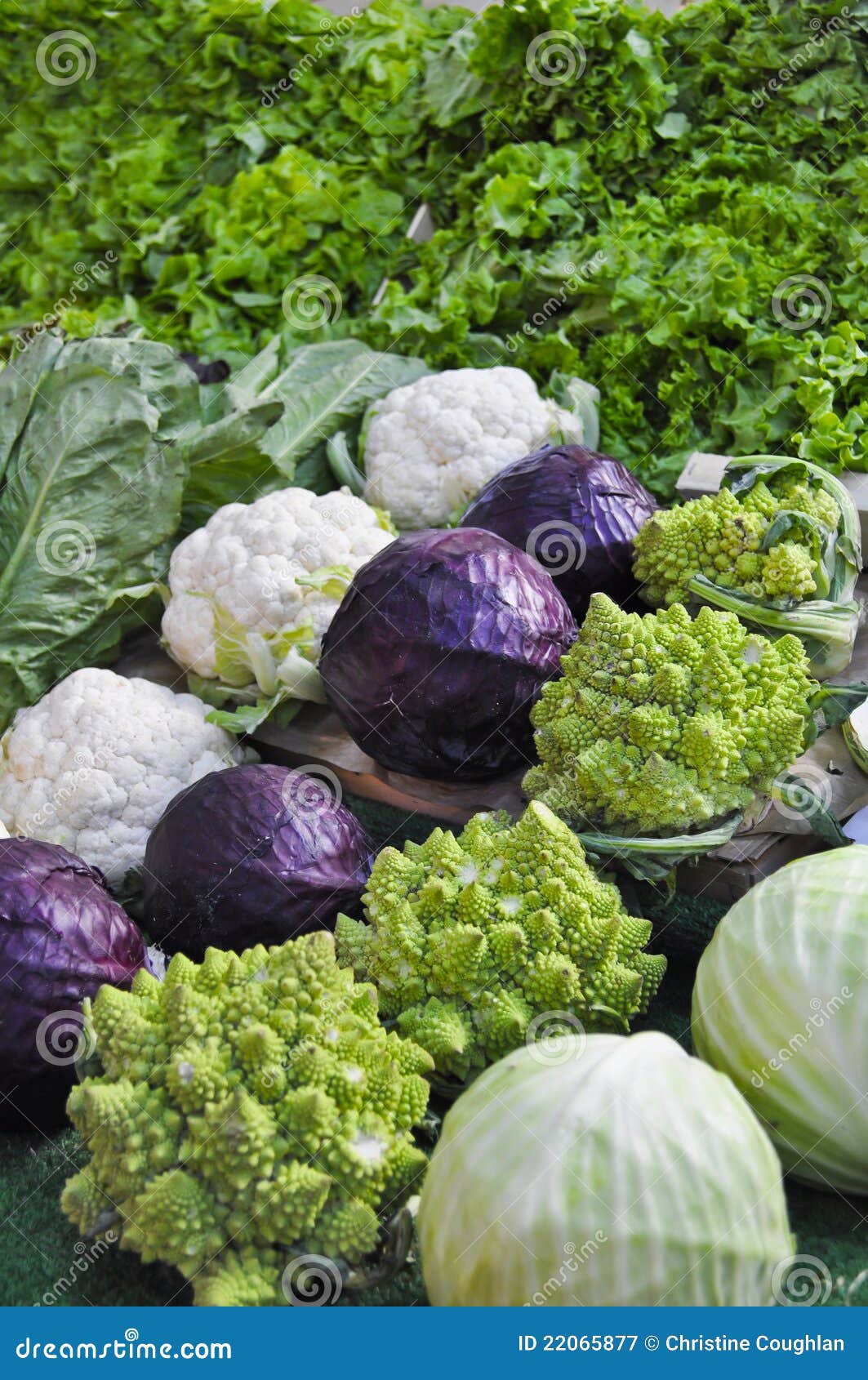 Fall Vegetables at a Farmers Market Stand Stock Image - Image of food ...