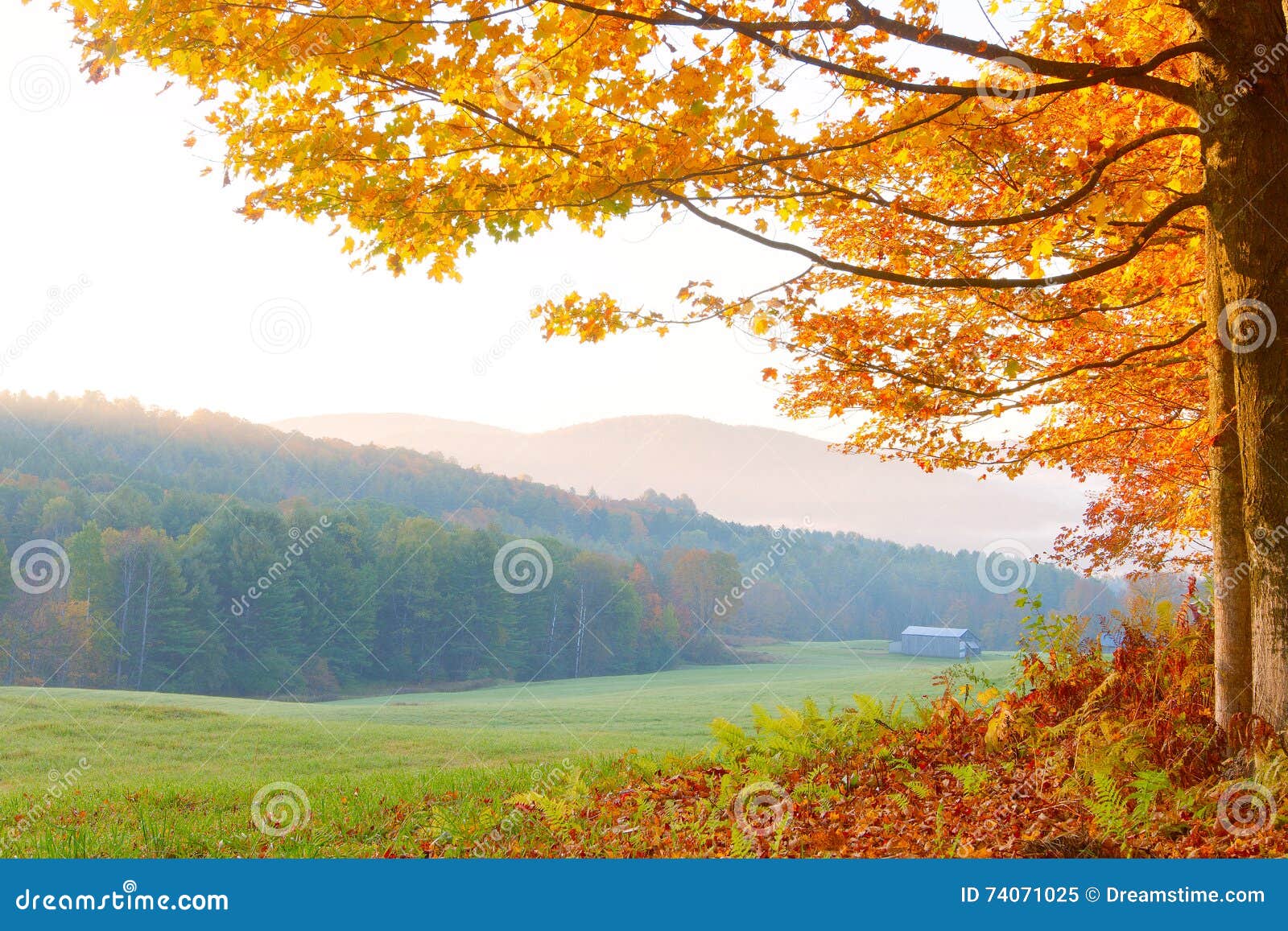 Fall in Vermont stock image. Image of pretty, bright - 74071025