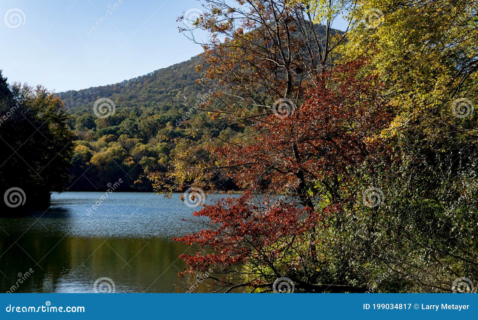 Fall View of Sharp Top Mountain Stock Image - Image of abbott ...
