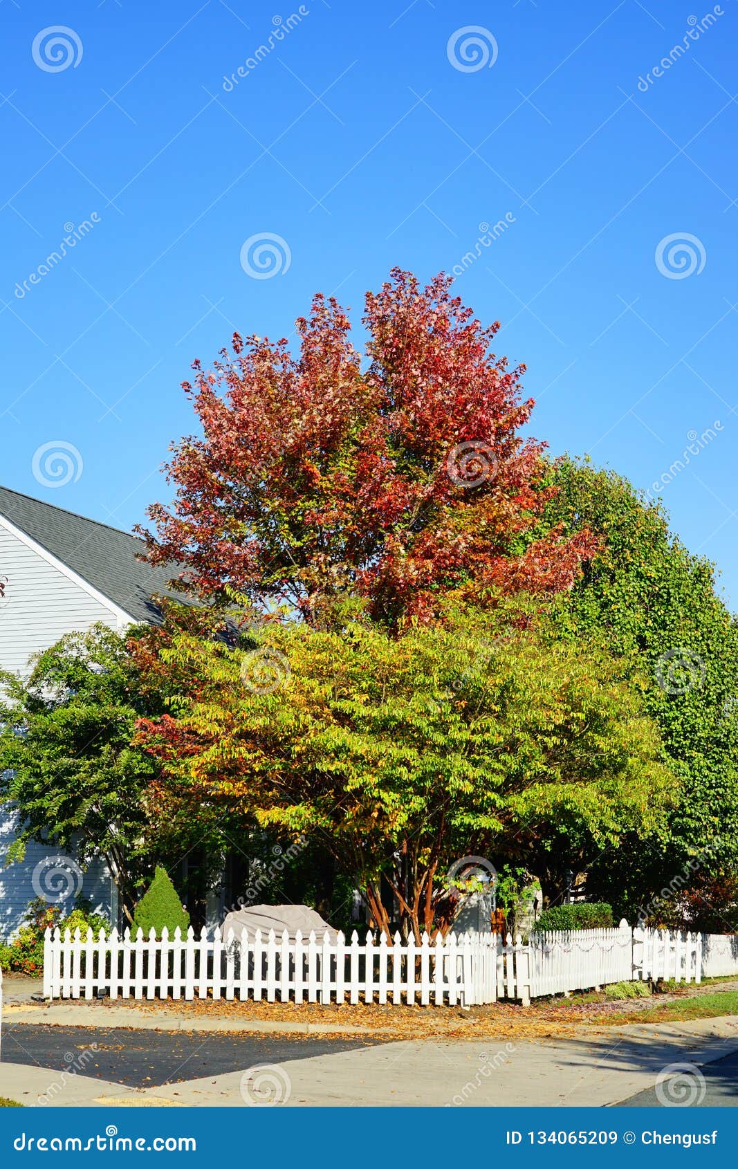 Fall of virginia stock image. Image of charlottesville - 134065209