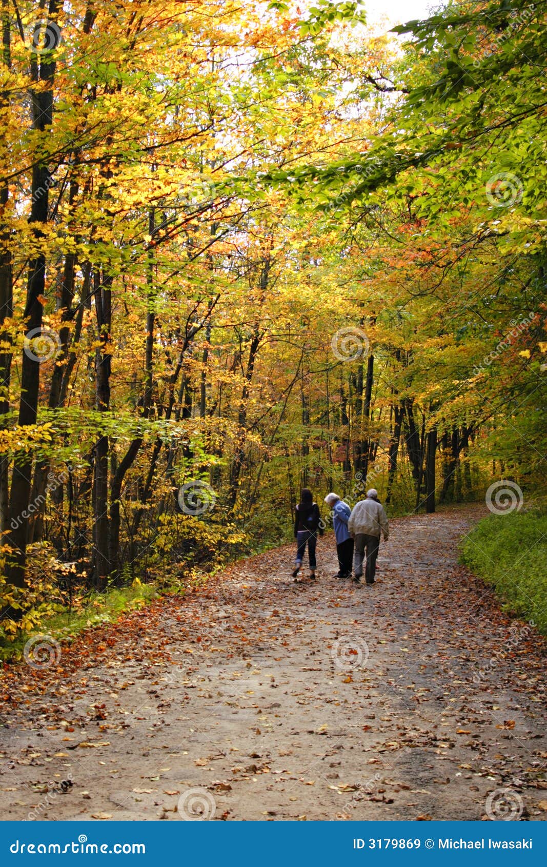 Fall walk stock image. Image of autumn, outdoors, foliage - 3179869