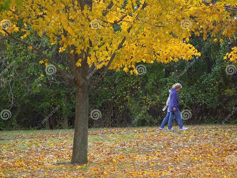 Fall Walk stock image. Image of leaves, diet, autumn, walk - 437645