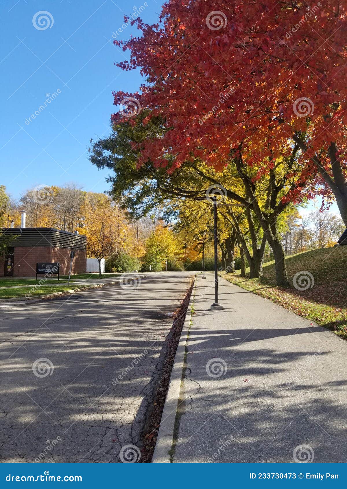 Fall Walkway Road stock image. Image of suburb, sunlight - 233730473