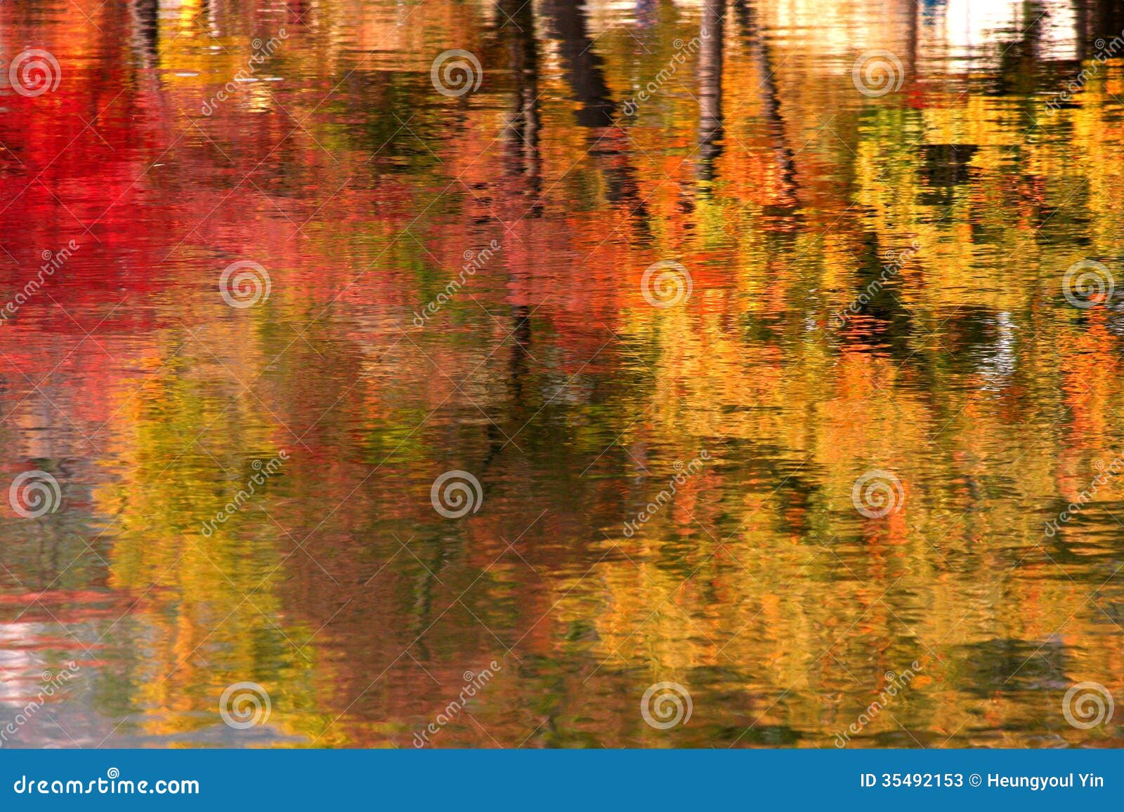 Fall on water reflection stock image. Image of reflection - 35492153