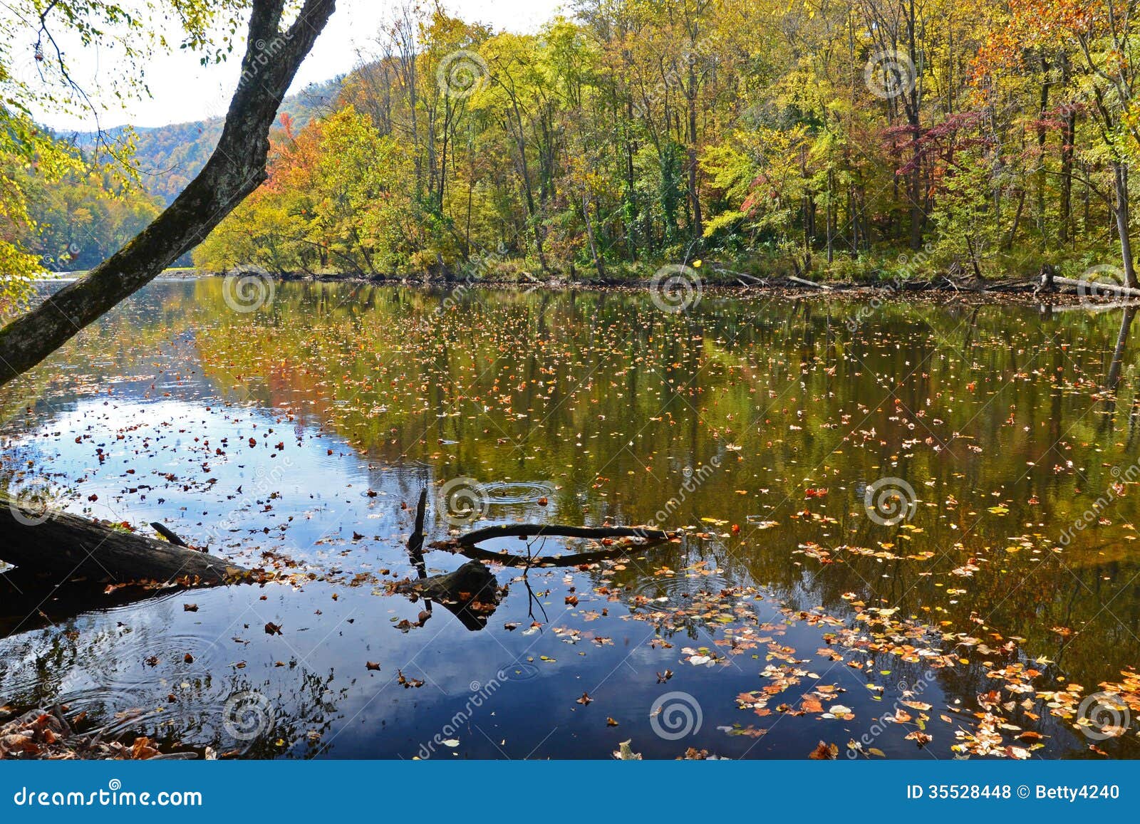 Fall Water Reflections on a Clear River. Stock Photo - Image of blue ...