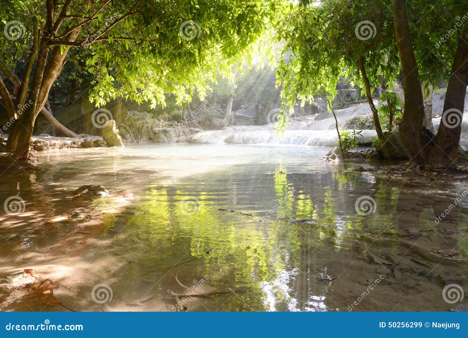 Fall water scape stock image. Image of plant, current - 50256299