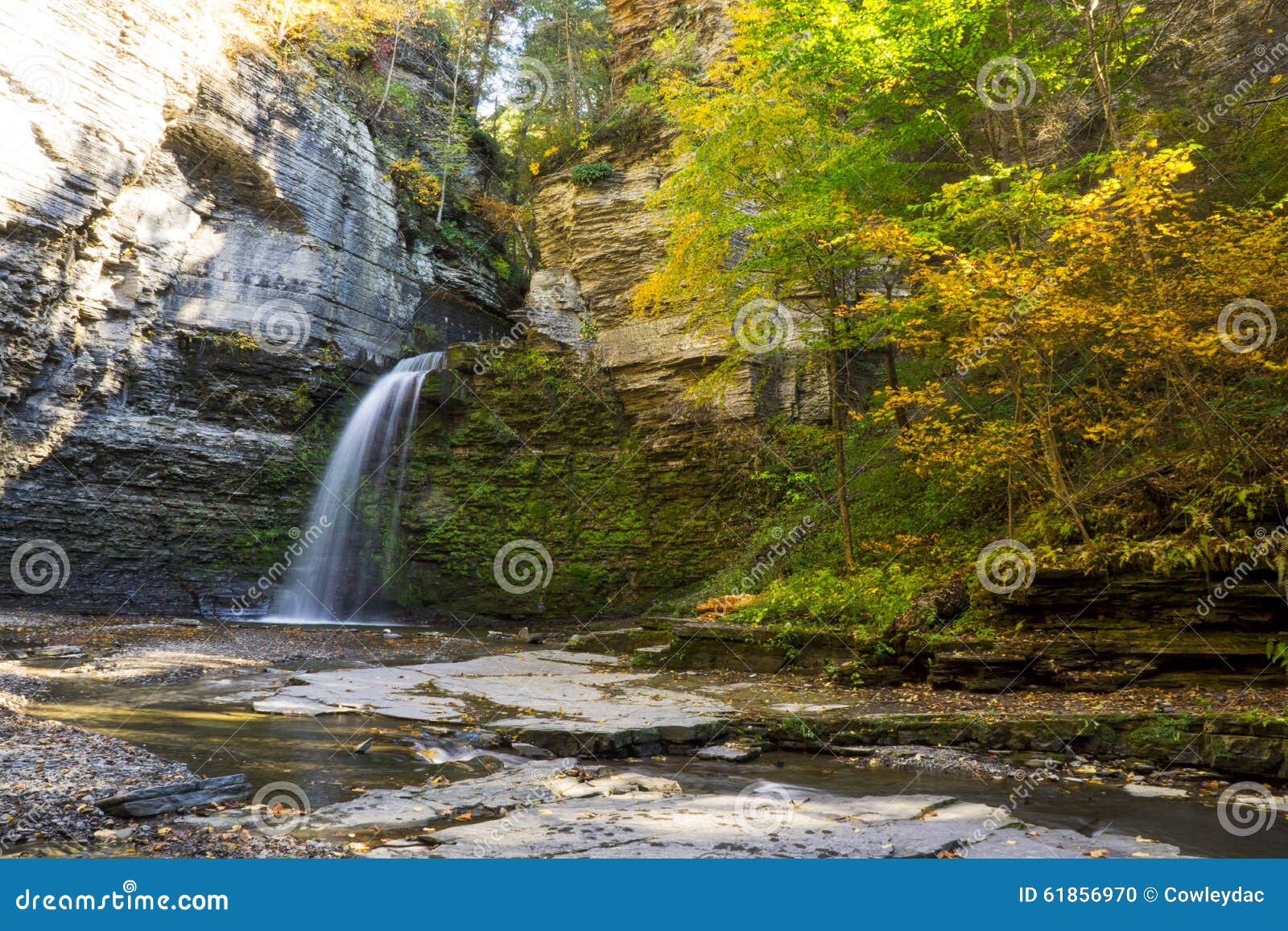 Fall Waterfall stock photo. Image of landscape, foliage - 61856970