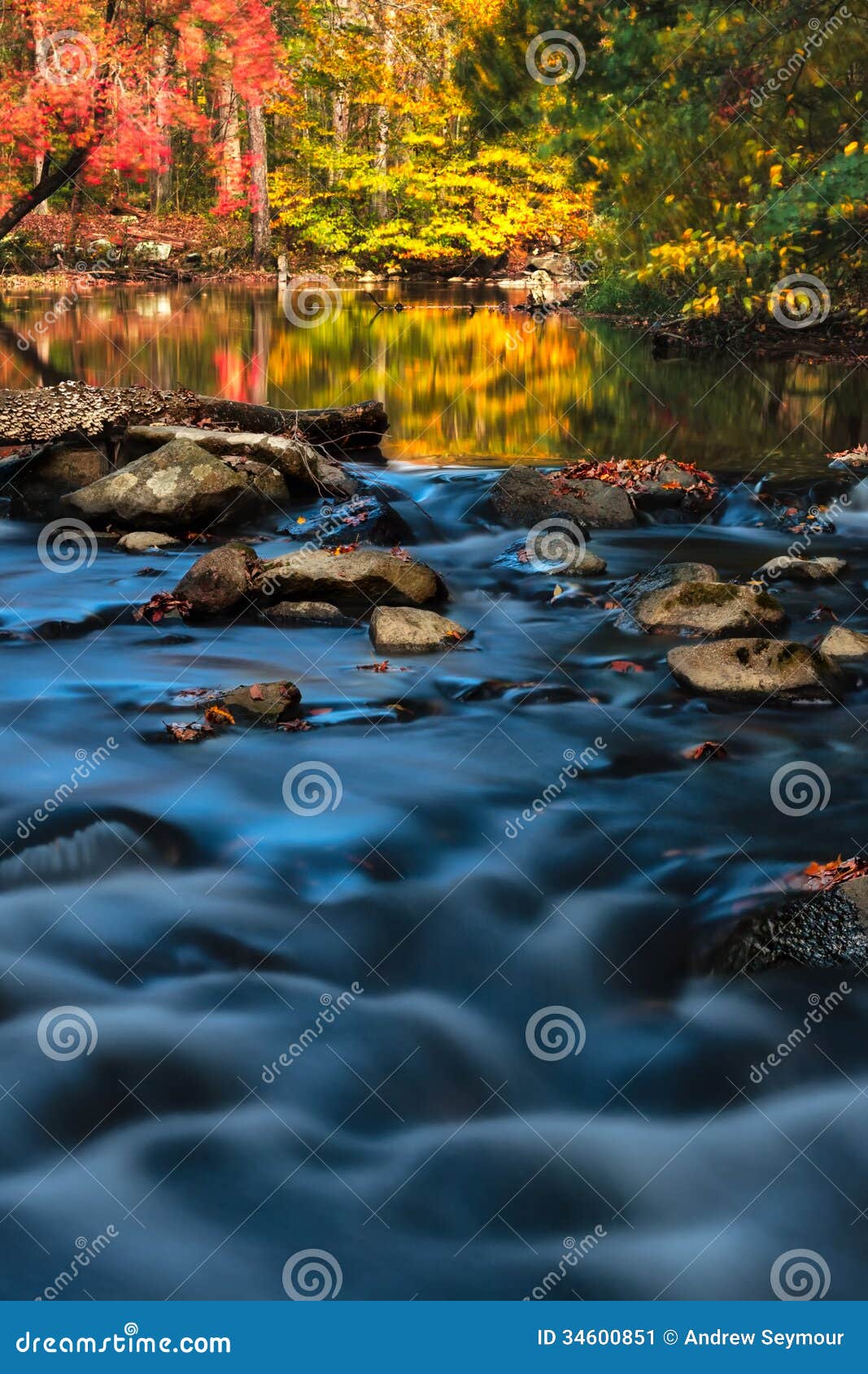 Fall Waterscape stock image. Image of yellow, foliage - 34600851