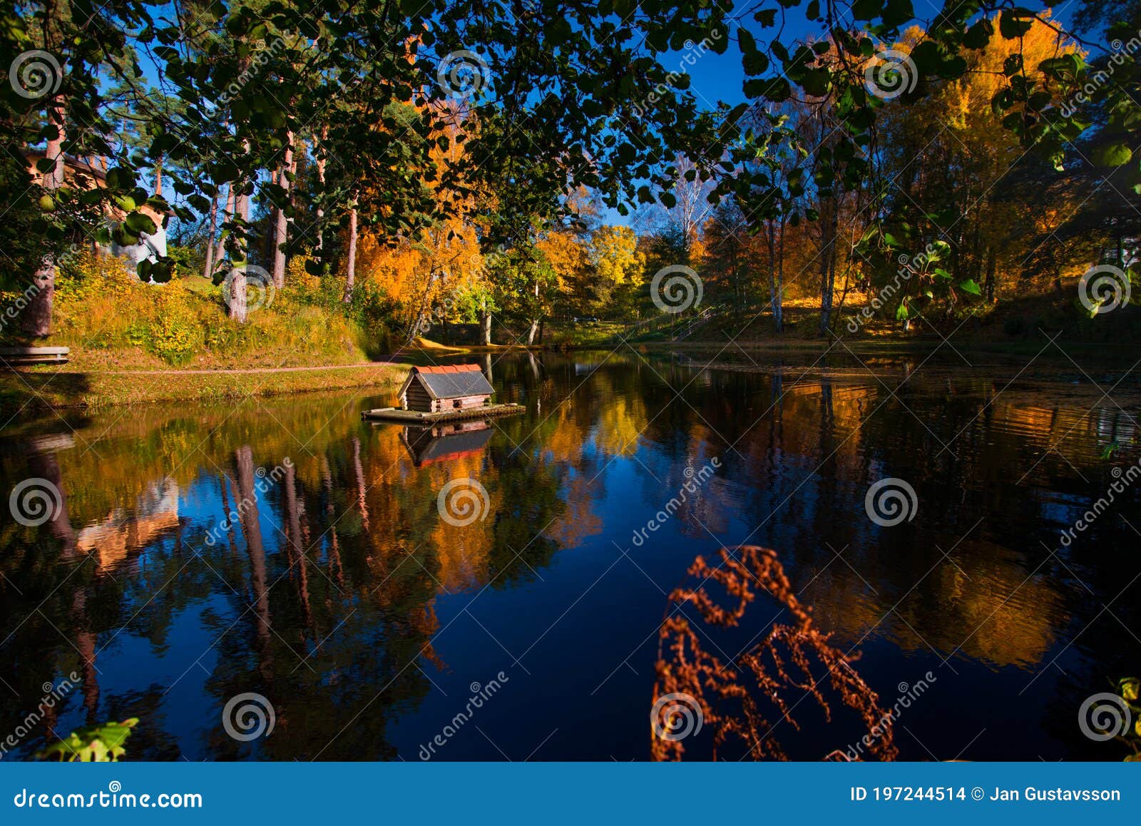 Fall is on the way stock photo. Image of countryside - 197244514