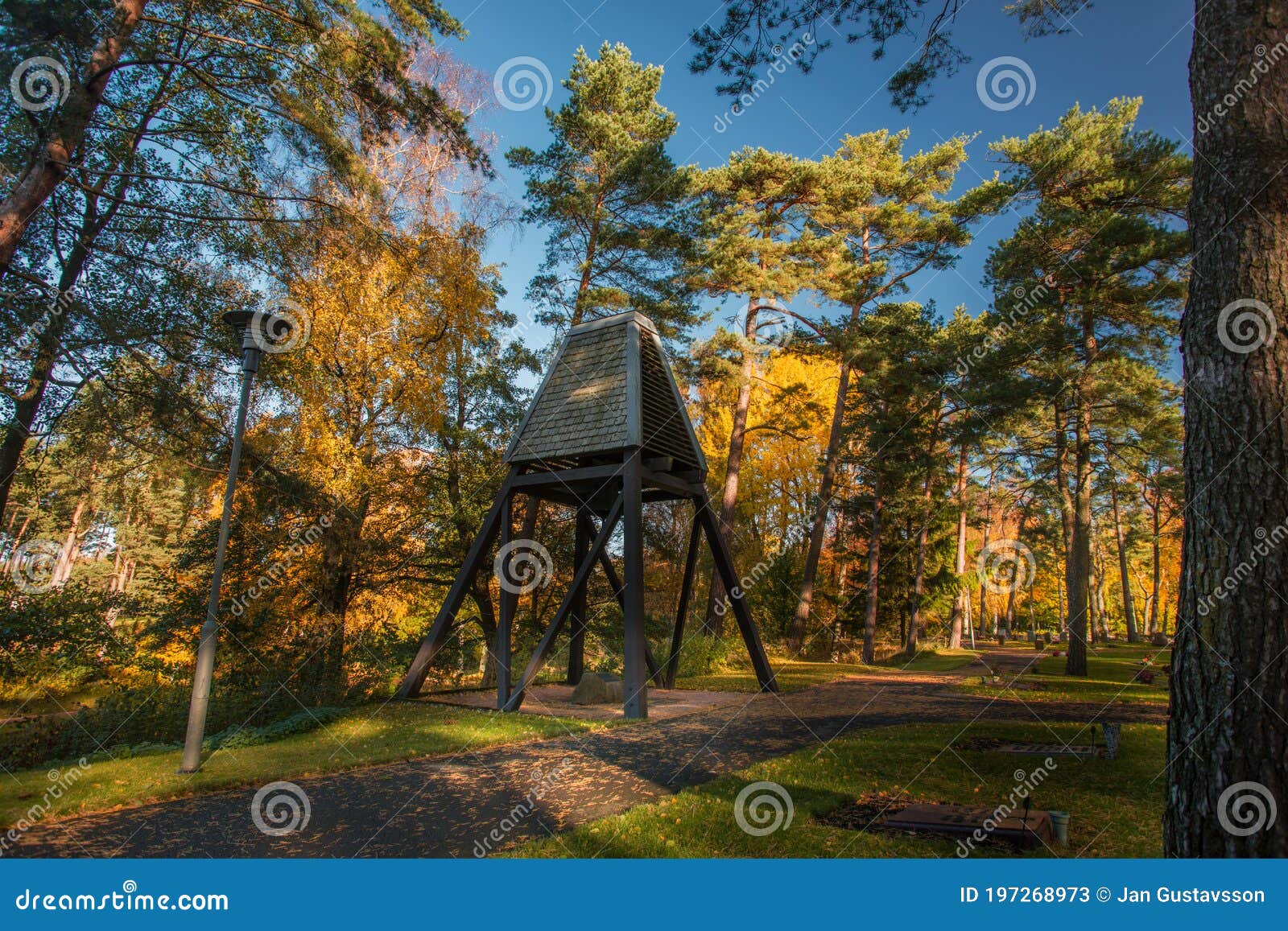 Fall is on the way stock image. Image of forest, maple - 197268973