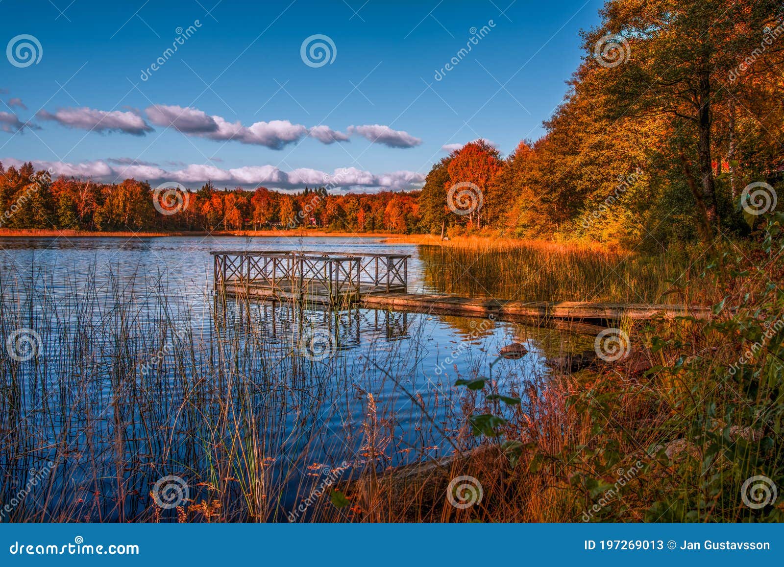 Fall is on the way stock image. Image of leaf, fresh - 197269013