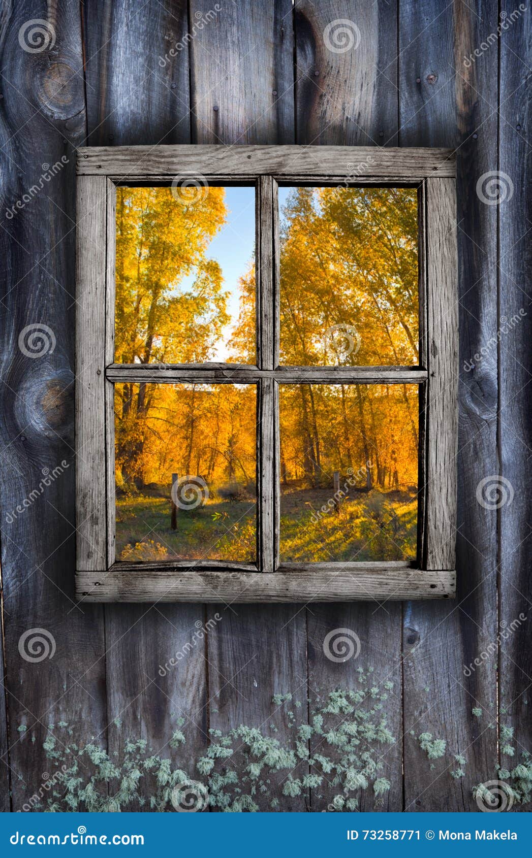Fall window design stock image. Image of night, exterior - 73258771