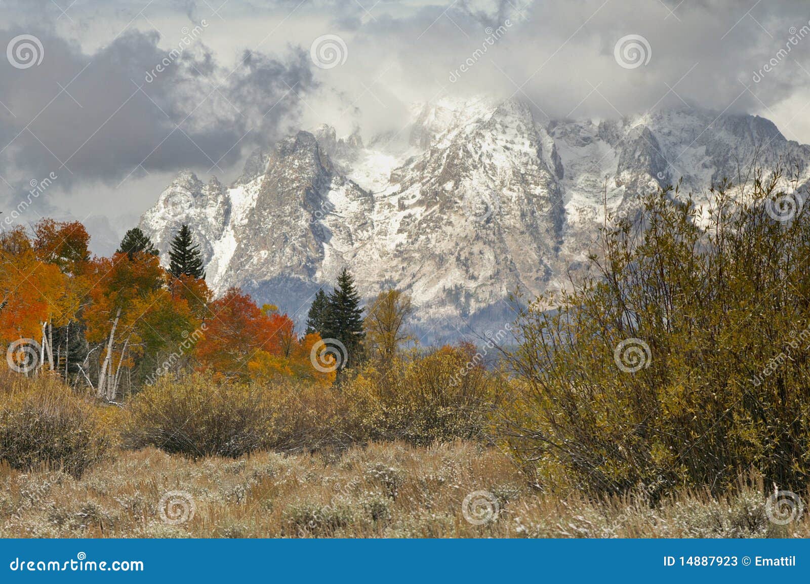 Fall in Winter stock image. Image of clouds, park, natioal - 14887923