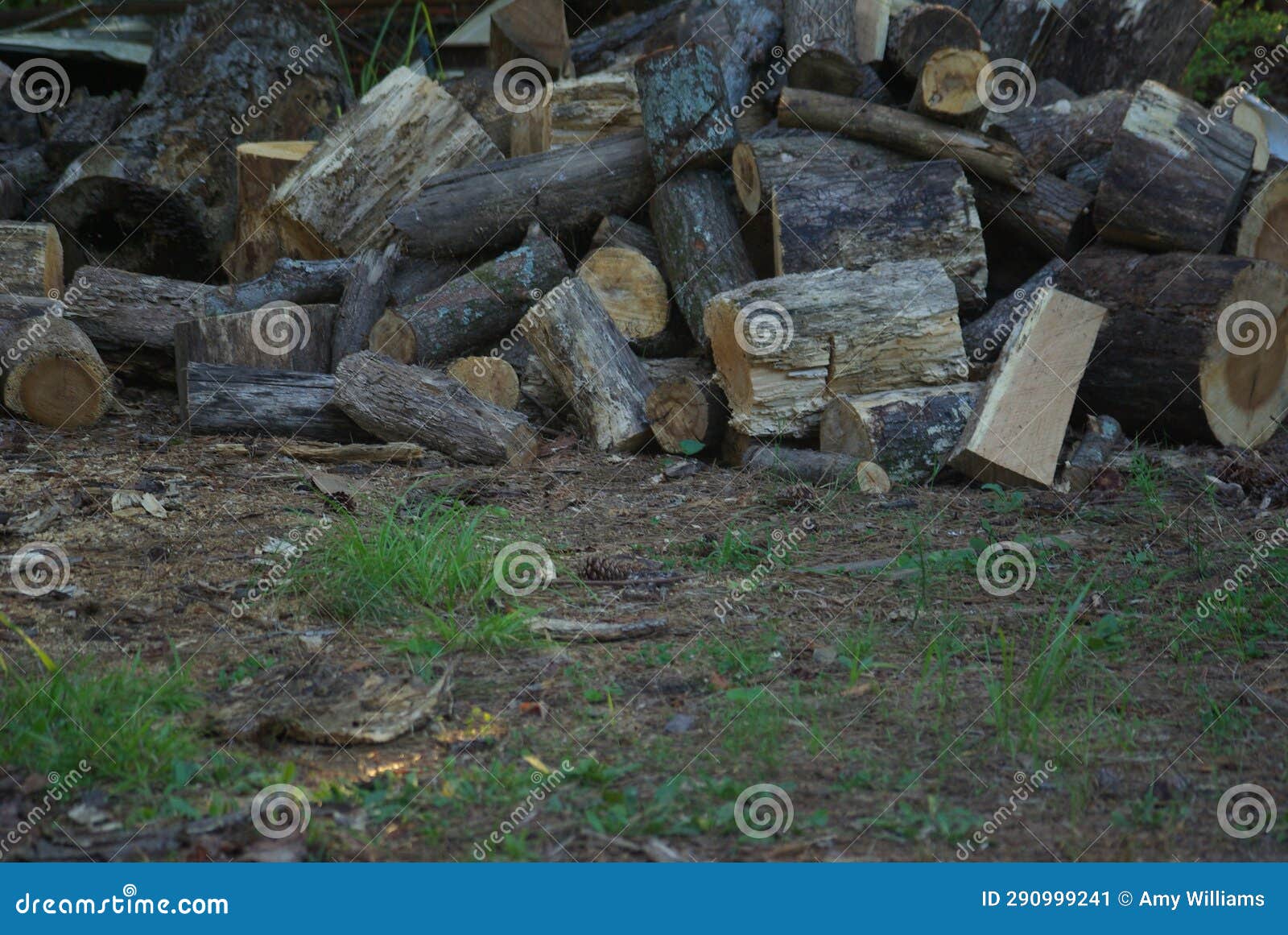 Fall wood stumps stock image. Image of garden, boulder - 290999241