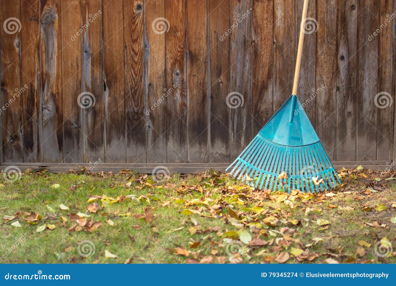 Fall yard work stock photo. Image of leaf, wooden, work - 79345274