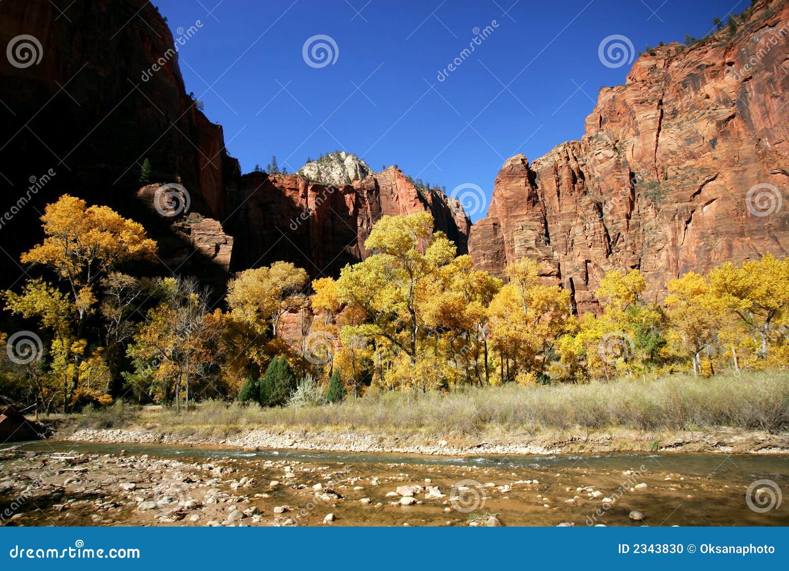 Fall in Zion stock photo. Image of mountain, geology, fall - 2343830