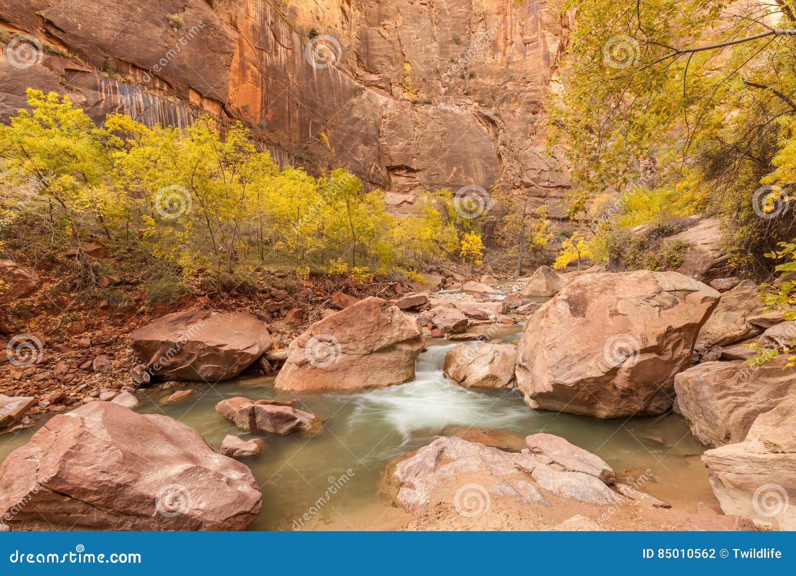 Fall in Zion National Park stock photo. Image of waterfall - 85010562