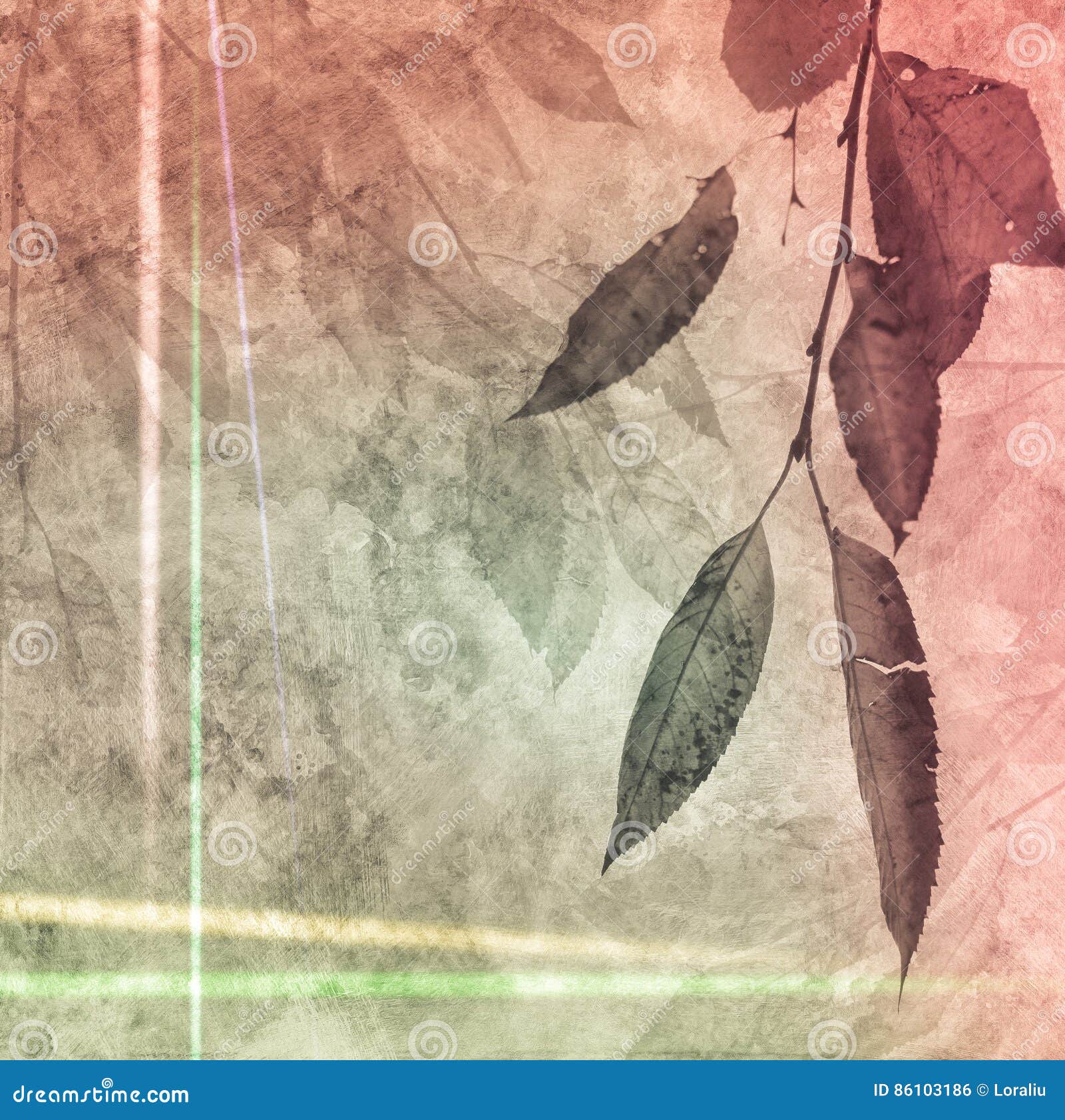 Fallen Autumn Leaf on the Abstract Paper Background Stock Photo - Image ...