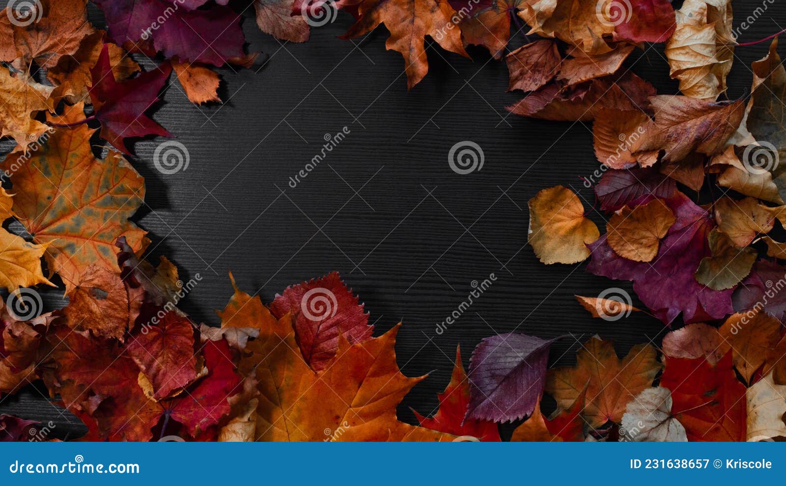 Fallen Autumn Leaves in the Form of a Frame, Copy Space for Your Text ...
