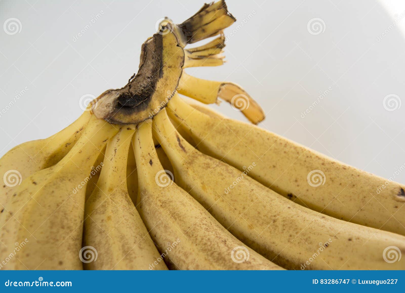 Fallen banana stock image. Image of food, banana, fallen - 83286747