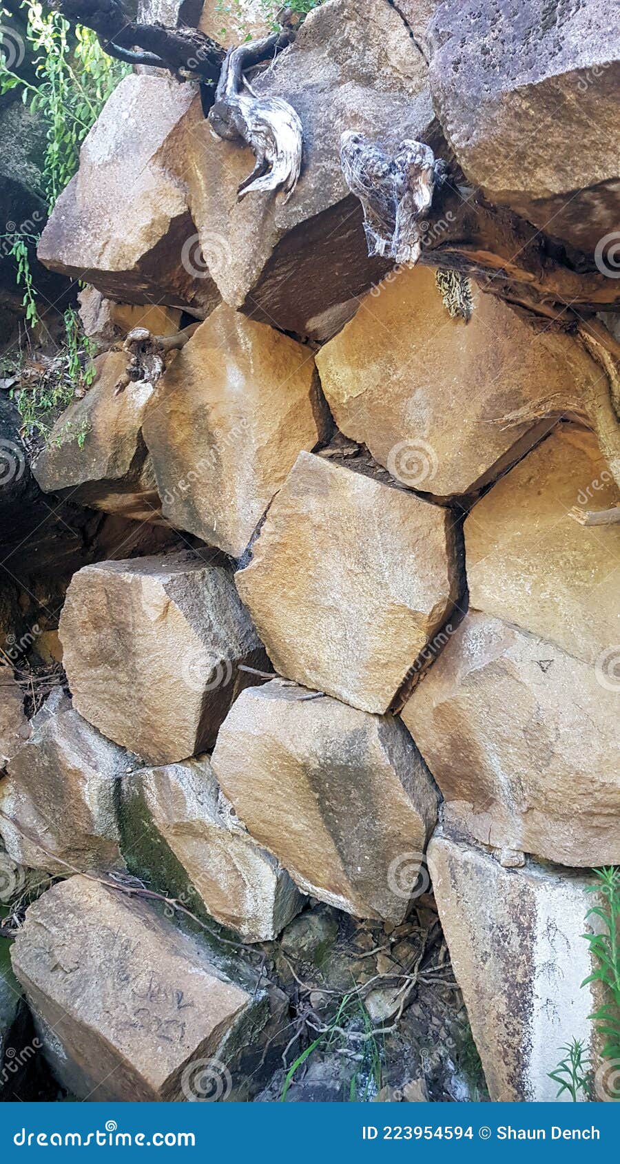 Fallen Basalt Showing Hexagonal Cross Section Shape Stock Photo - Image ...