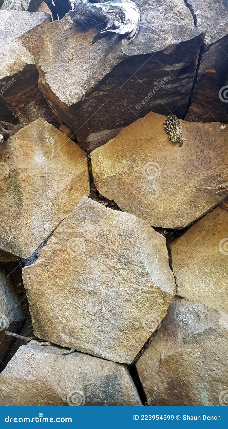 Fallen Basalt Showing Hexagonal Cross Section Shape Stock Image - Image ...