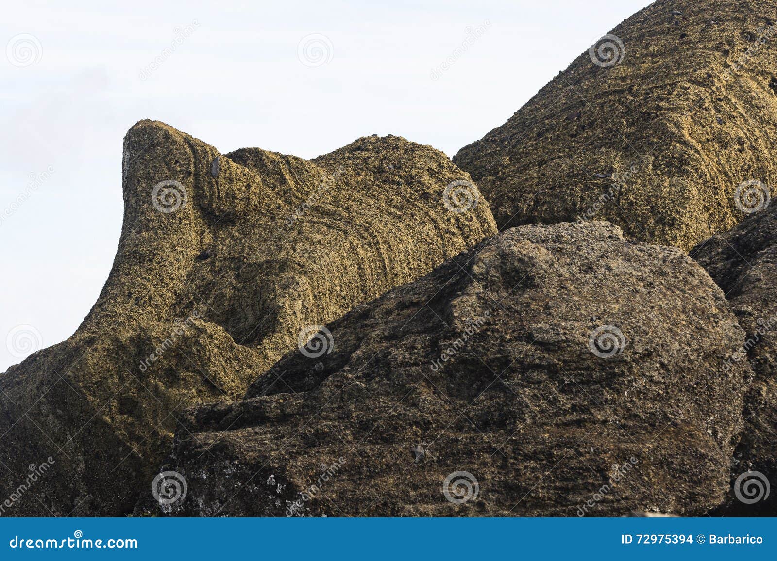 A Fallen and Broken Moai Statue Stock Photo - Image of easter, statue ...