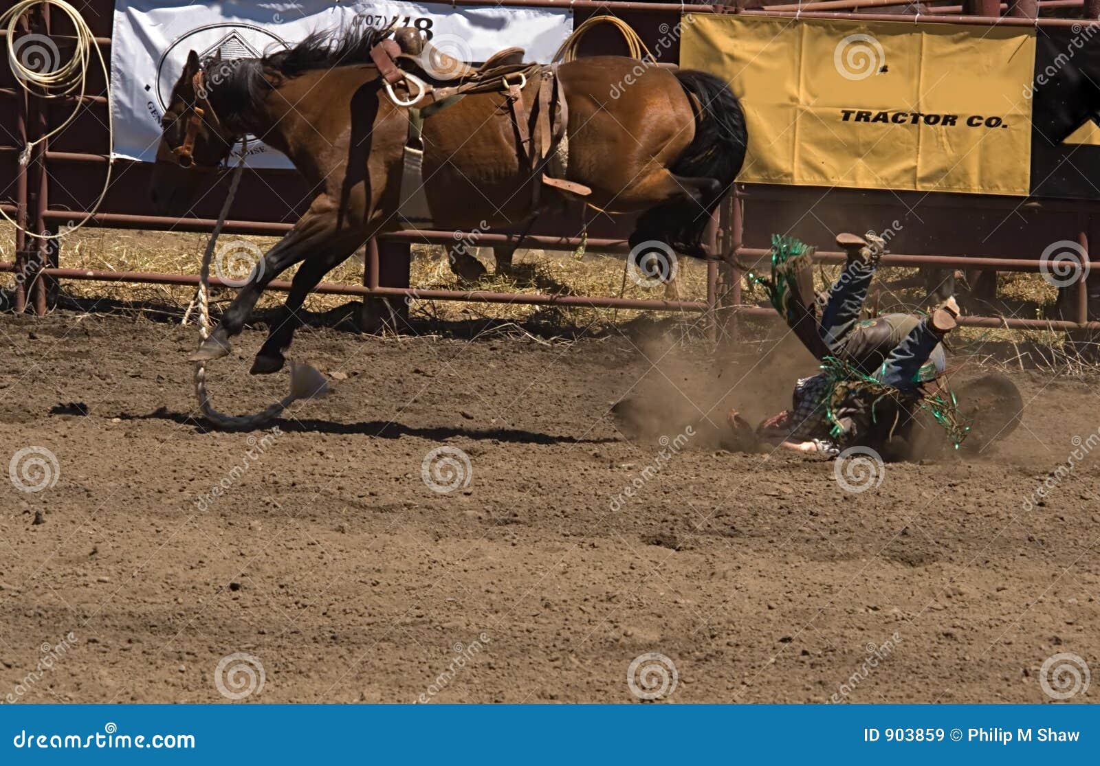 Fallen Bronc Rider stock image. Image of fall, horse, rodeo - 903859